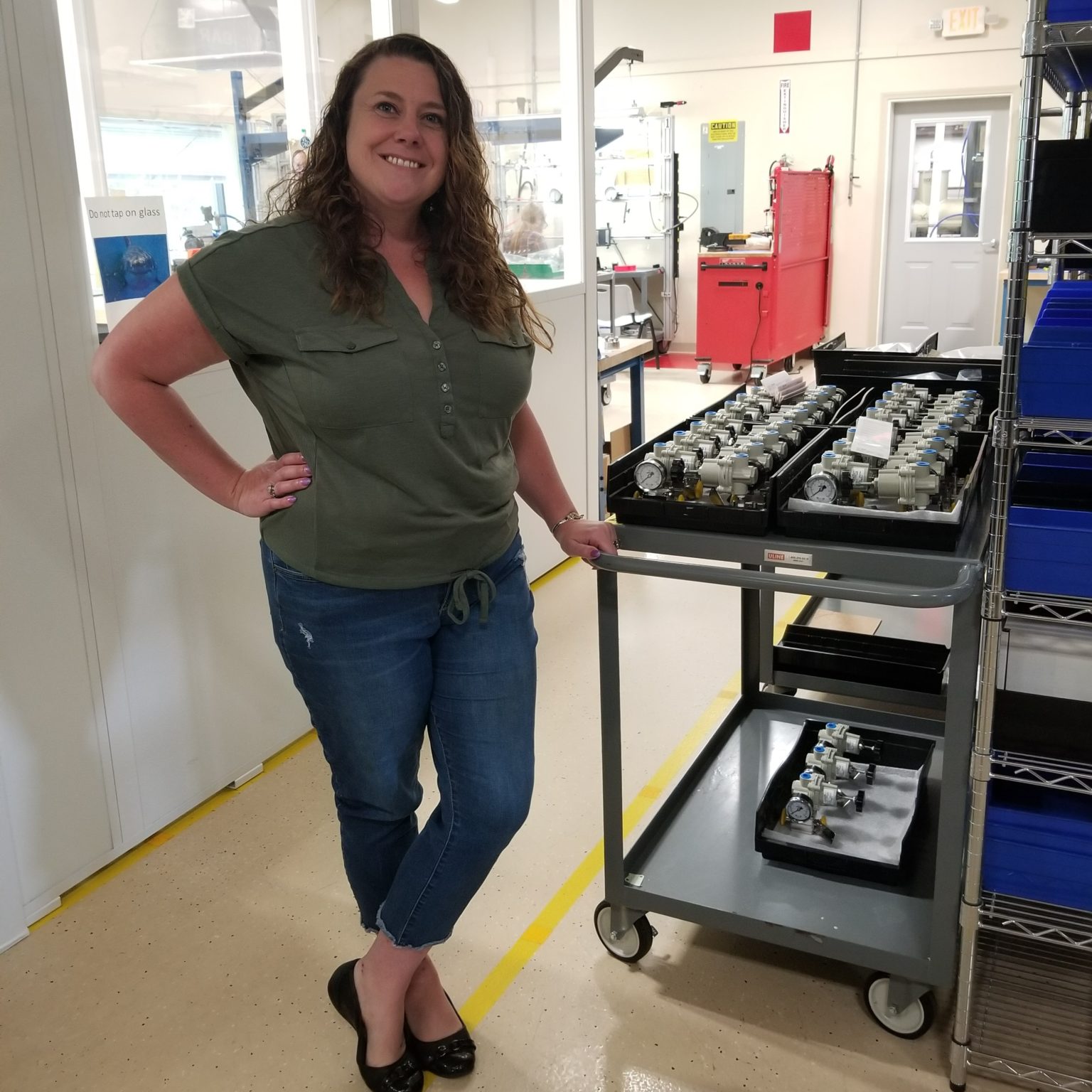 Electronic Pressure Regulators | Equilibar